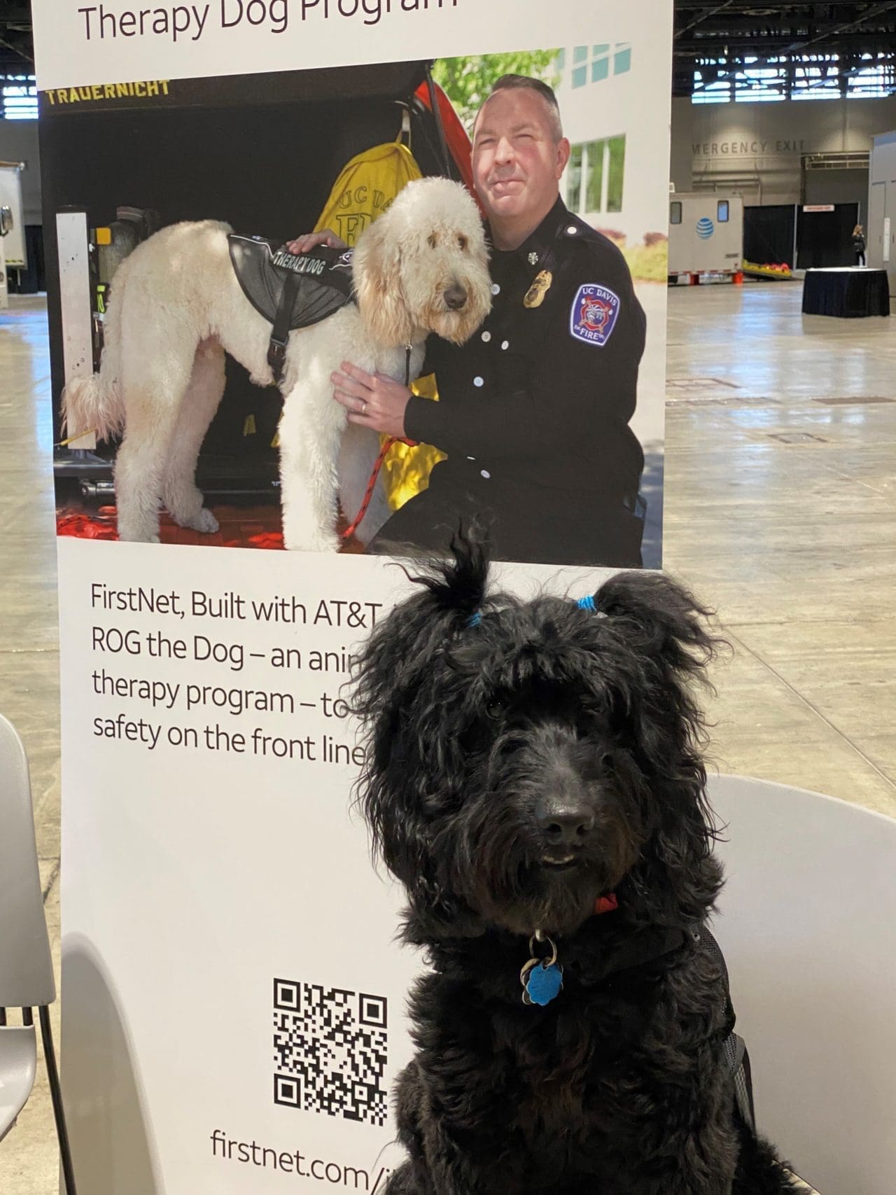 FirstNet’s ROG the Dog Supporting First Responder Wellness in Illinois ...