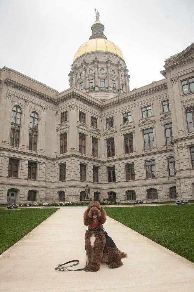Georgia Lawmakers and First Responders Get a First-Hand Look of ...